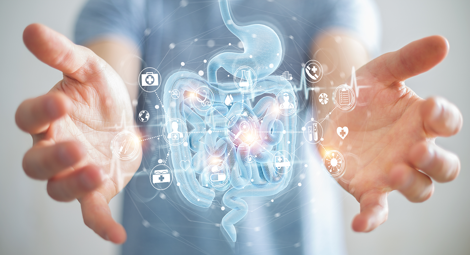 Gut Function - The Foundation of Your Health and Performance