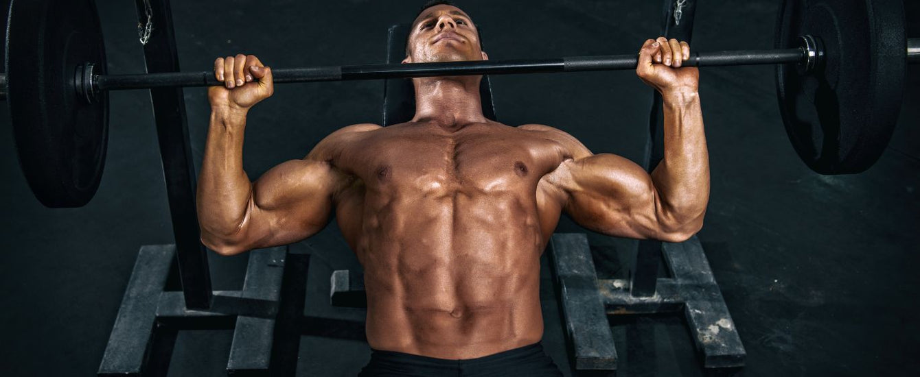 The Ultimate Guide to Compound Exercises: Bench Press, Squat, and ...