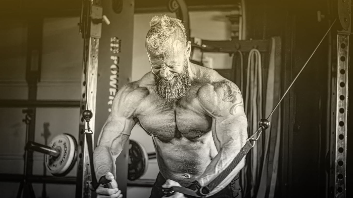 Muscle Anarchy – Thundrbro